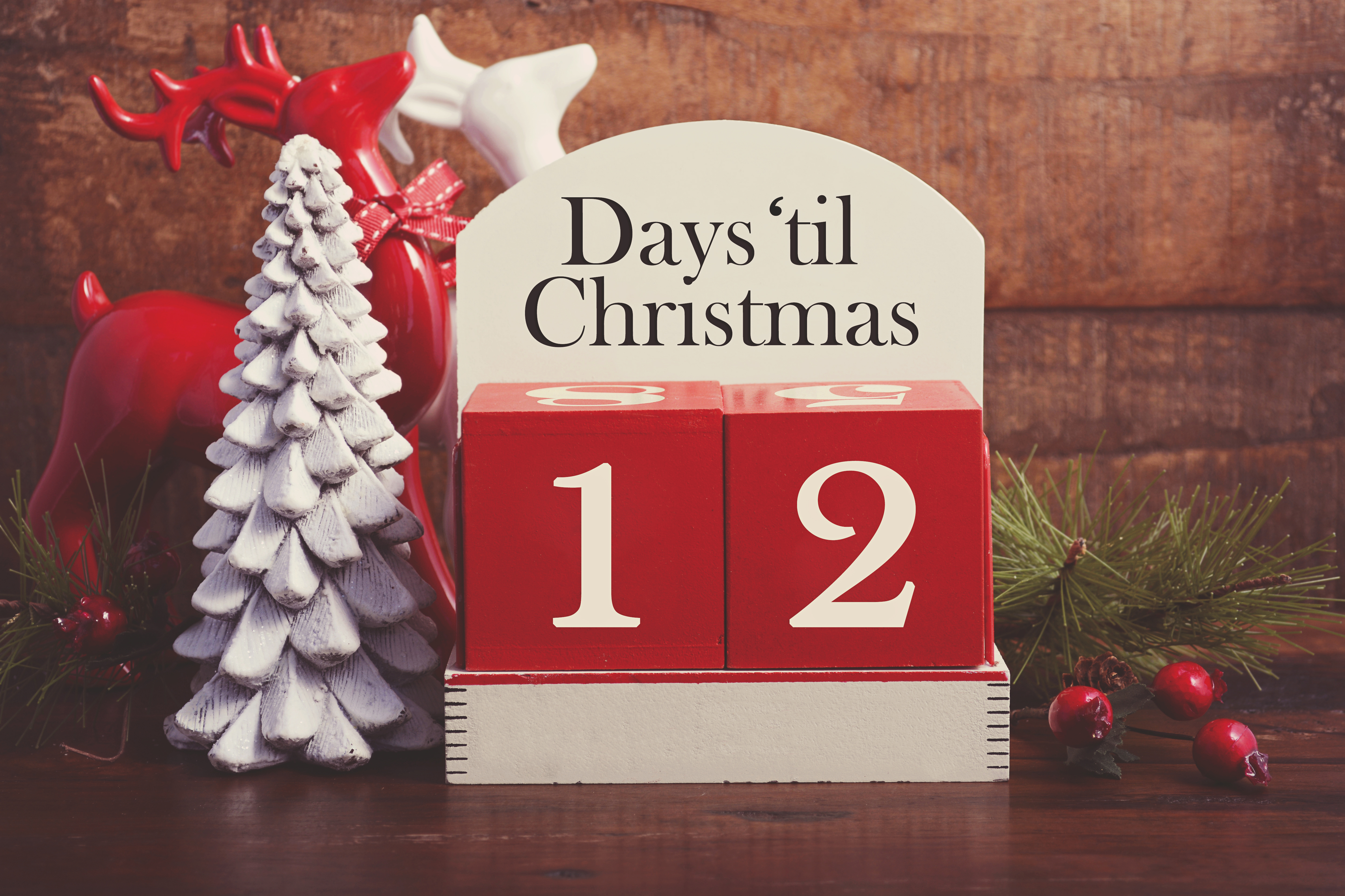The Twelve Days of Christmas – Christmas HQ